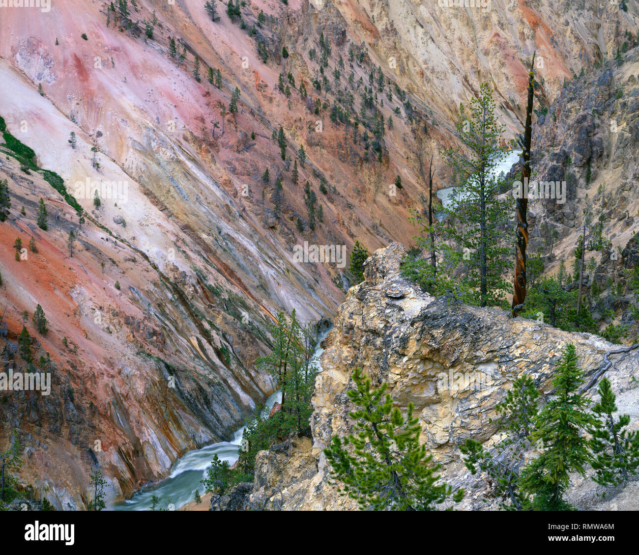 USA, Wyoming, Yellowstone National Park, Colorful rhyolite walls ...