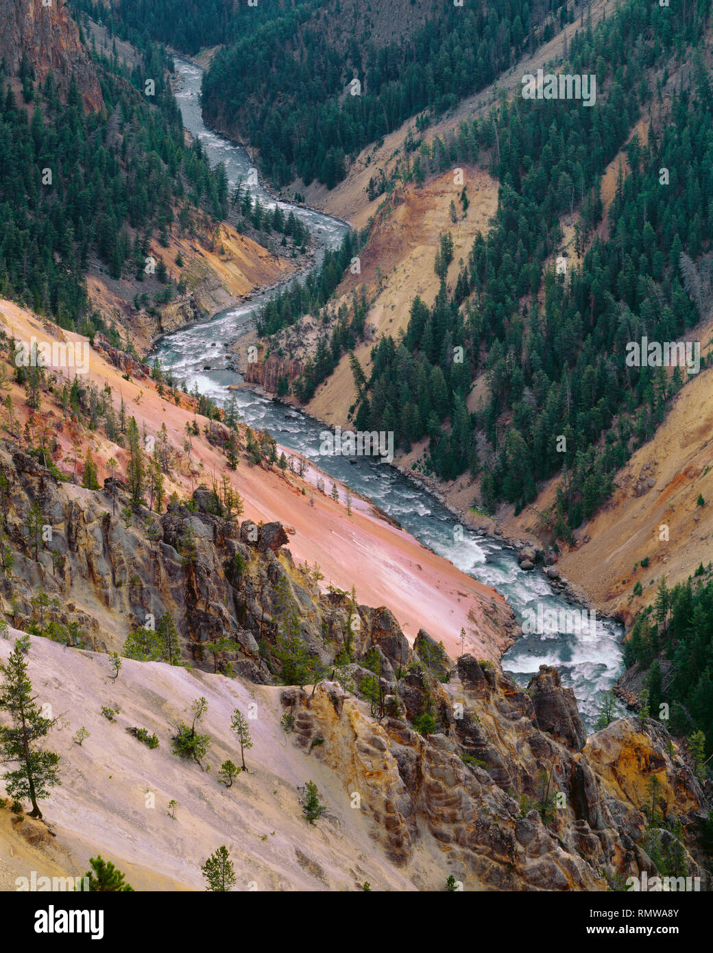 USA, Wyoming, Yellowstone National Park, Yellowstone River and colorful ...
