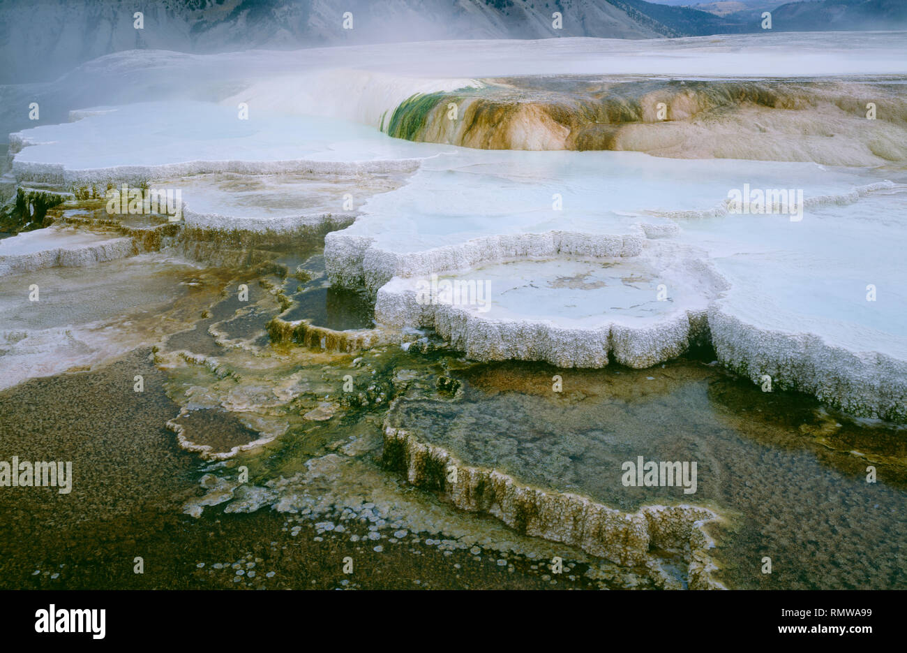 New blue spring hi-res stock photography and images - Alamy