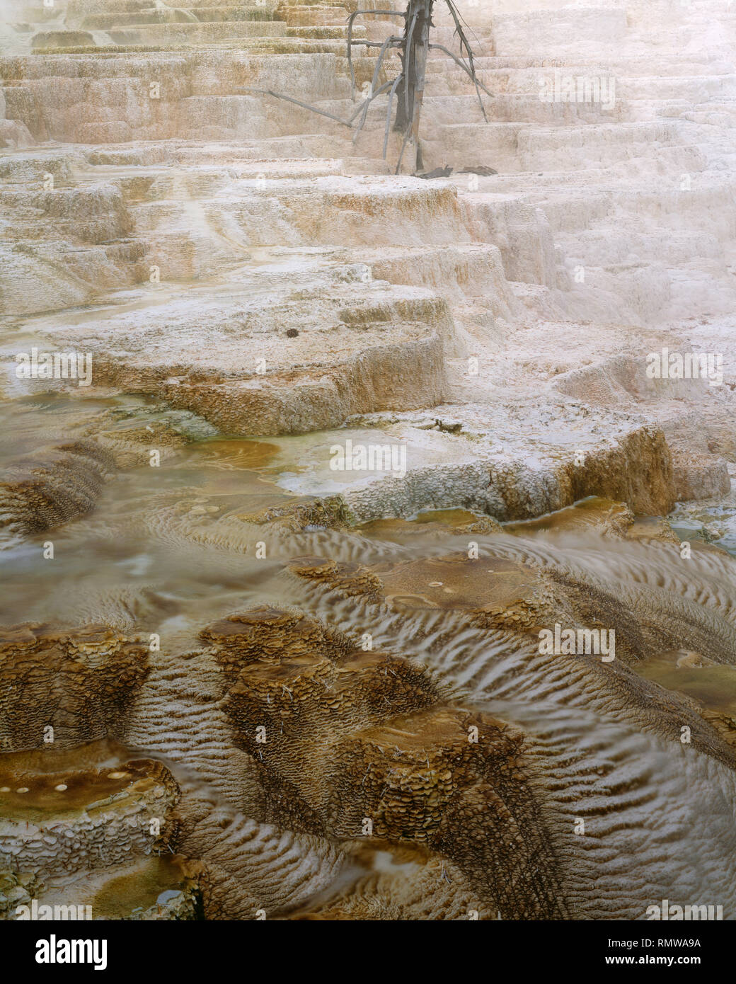 Travertine deposits hi-res stock photography and images - Alamy