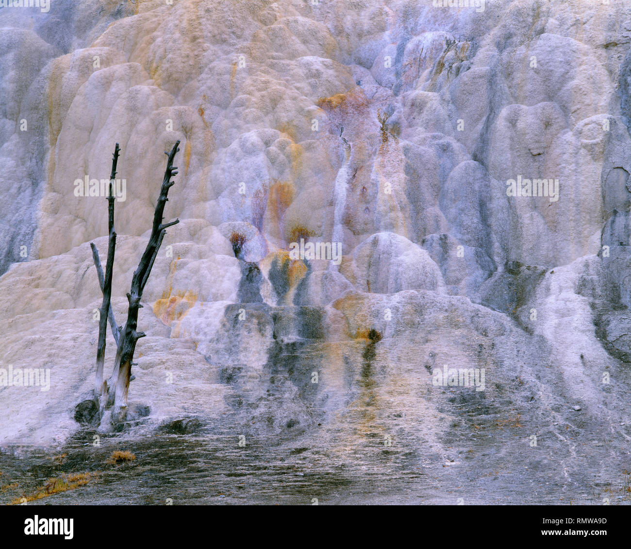 USA, Wyoming, Yellowstone National Park, Orange Spring Mound is ...