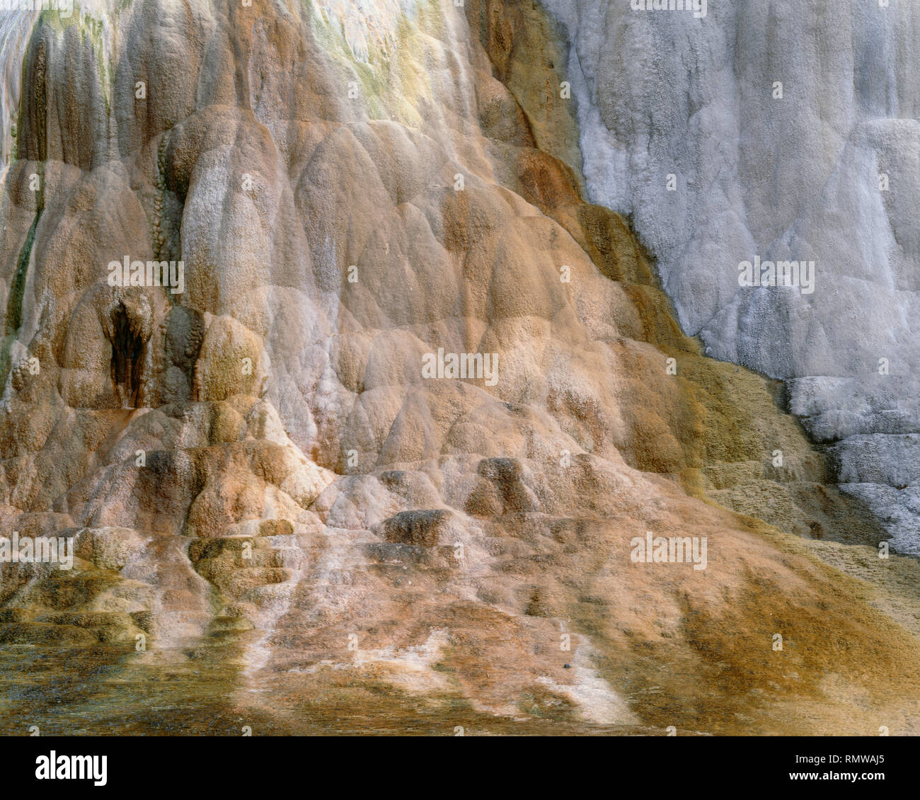 USA, Wyoming, Yellowstone National Park, Orange Spring Mound is ...