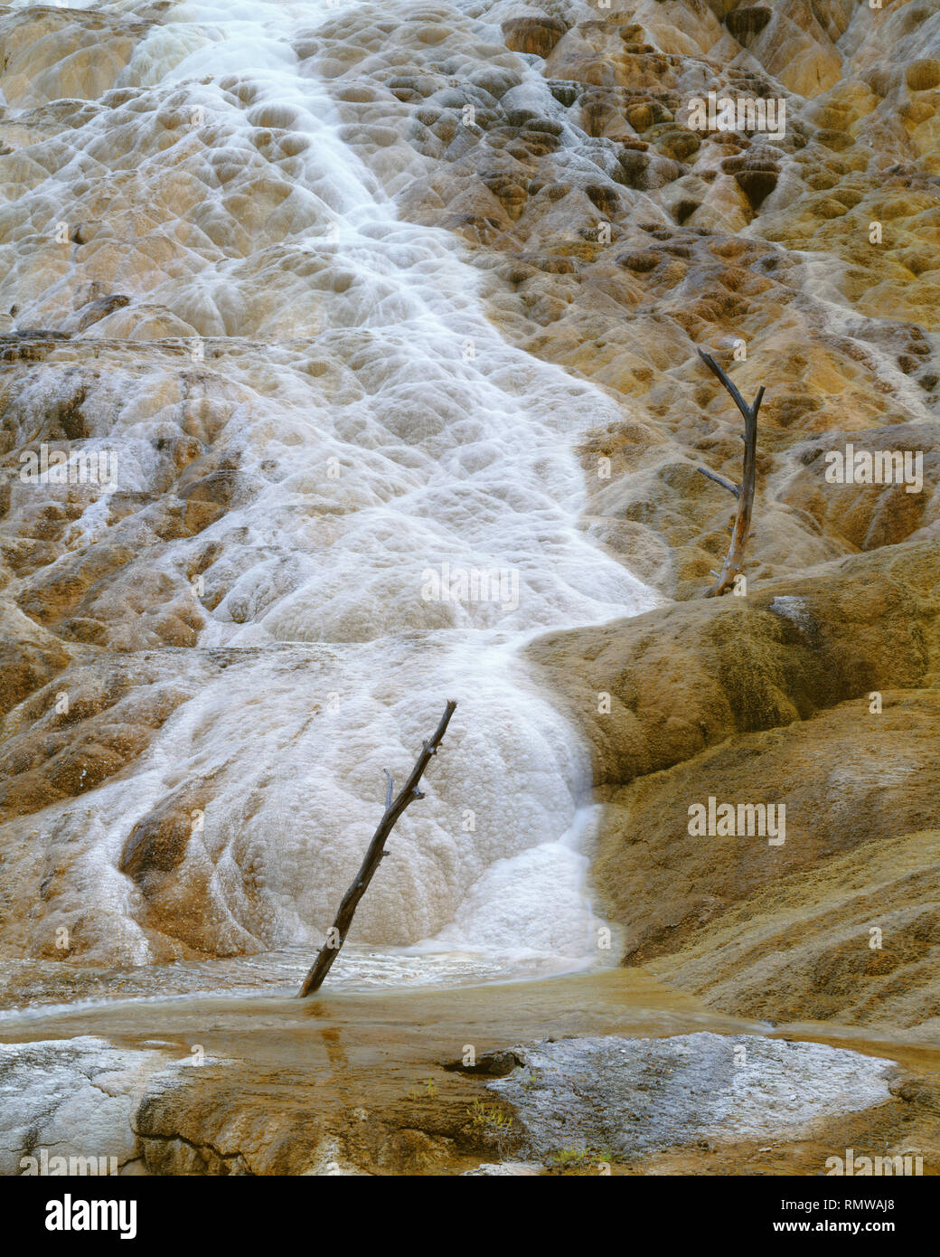 USA, Wyoming, Yellowstone National Park, Palette Spring, formed from ...