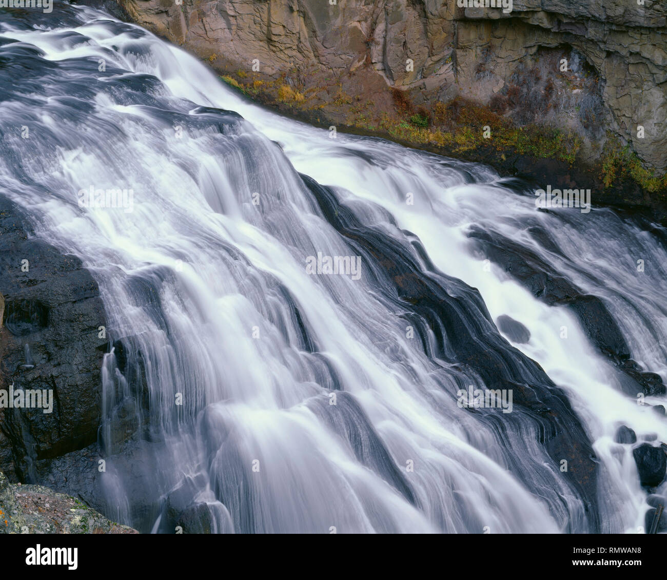USA, Wyoming, Yellowstone National Park, The Gibbon river drops 84 feet ...