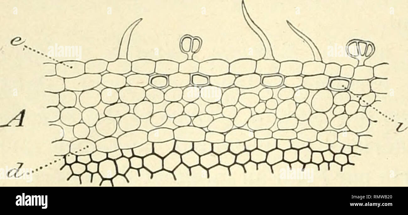 Base Aerienne High Resolution Stock Photography and Images - Alamy