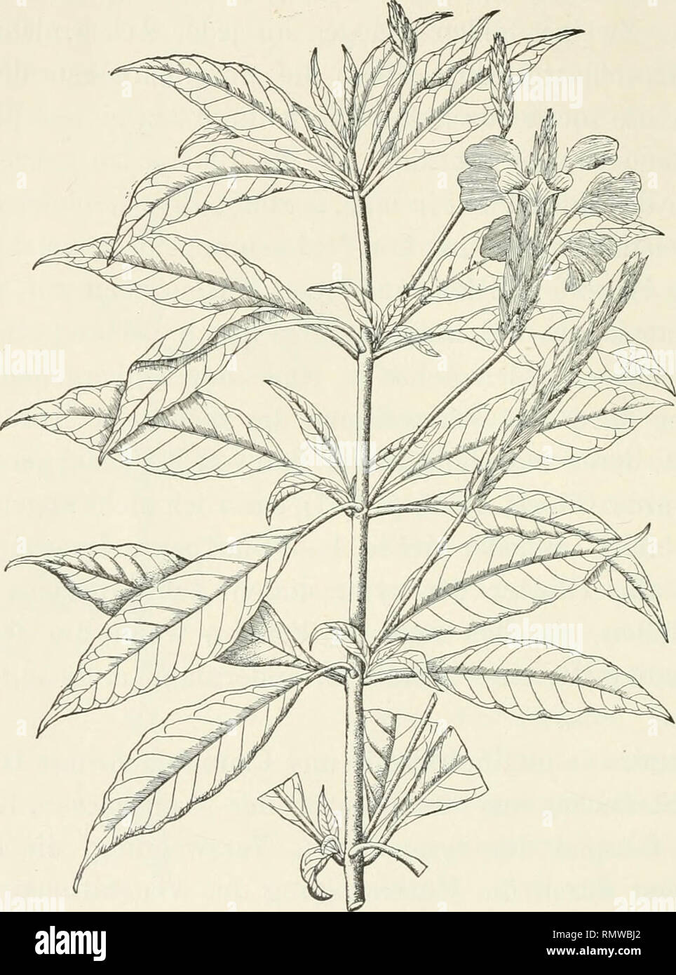 Wickelung hi-res stock photography and images - Alamy