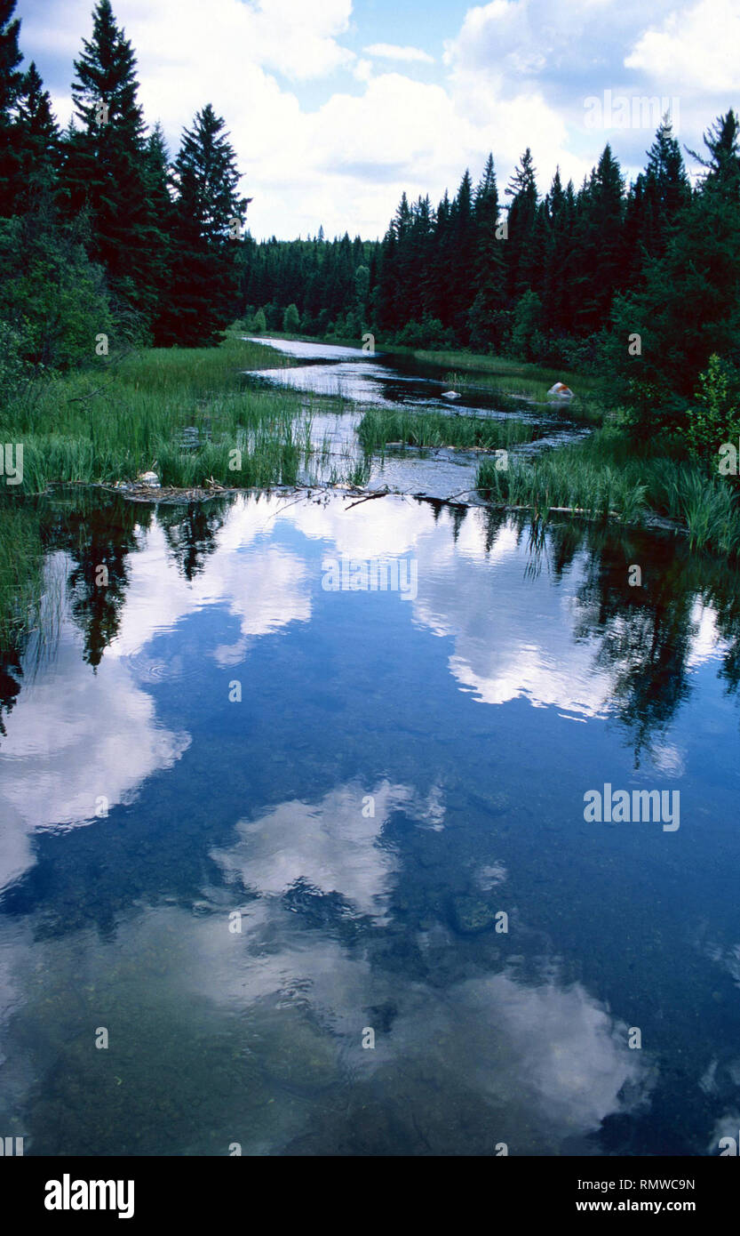 Waskesiu River,Prince Albert National Park,Saskatchewan,Canada Stock ...