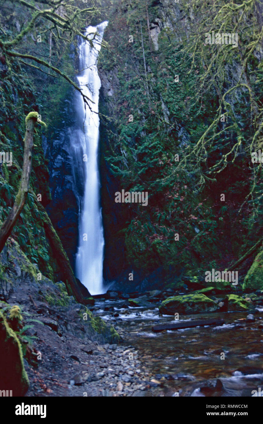 Niagara Falls,Goldstream Provincial Park,British Columbia,Canada Stock ...