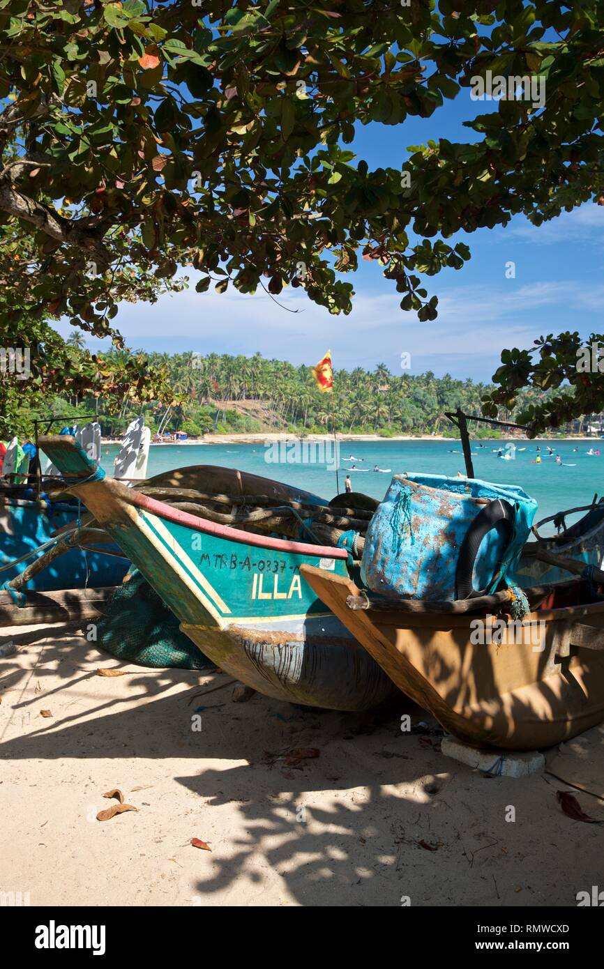 Dickwella hi-res stock photography and images - Alamy