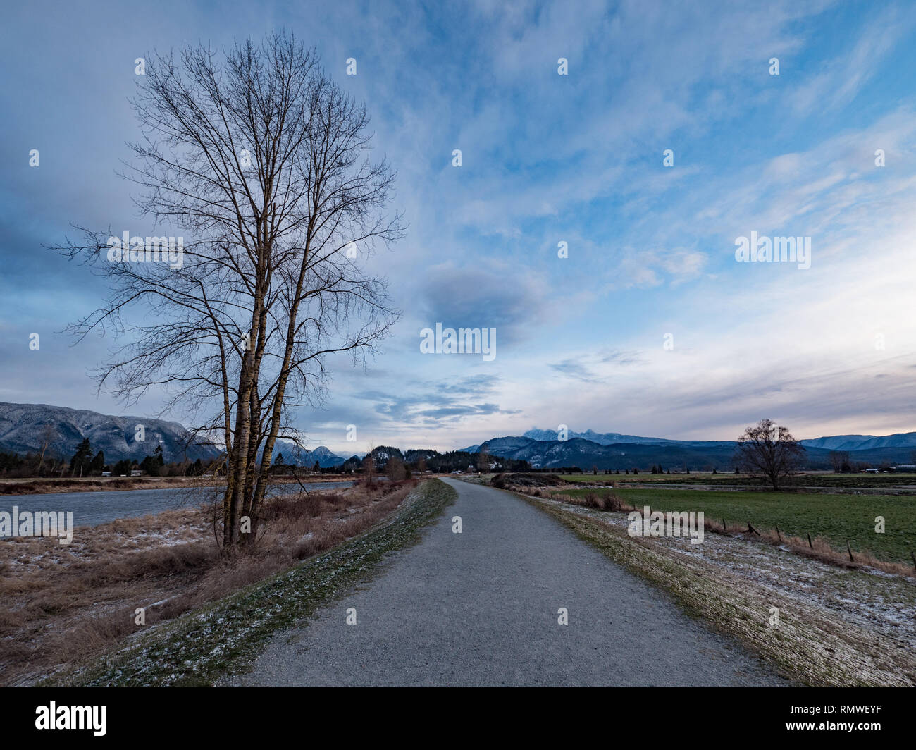 Walking trail on a cold day in Pitt Meadows, British Columbia, Canada ...