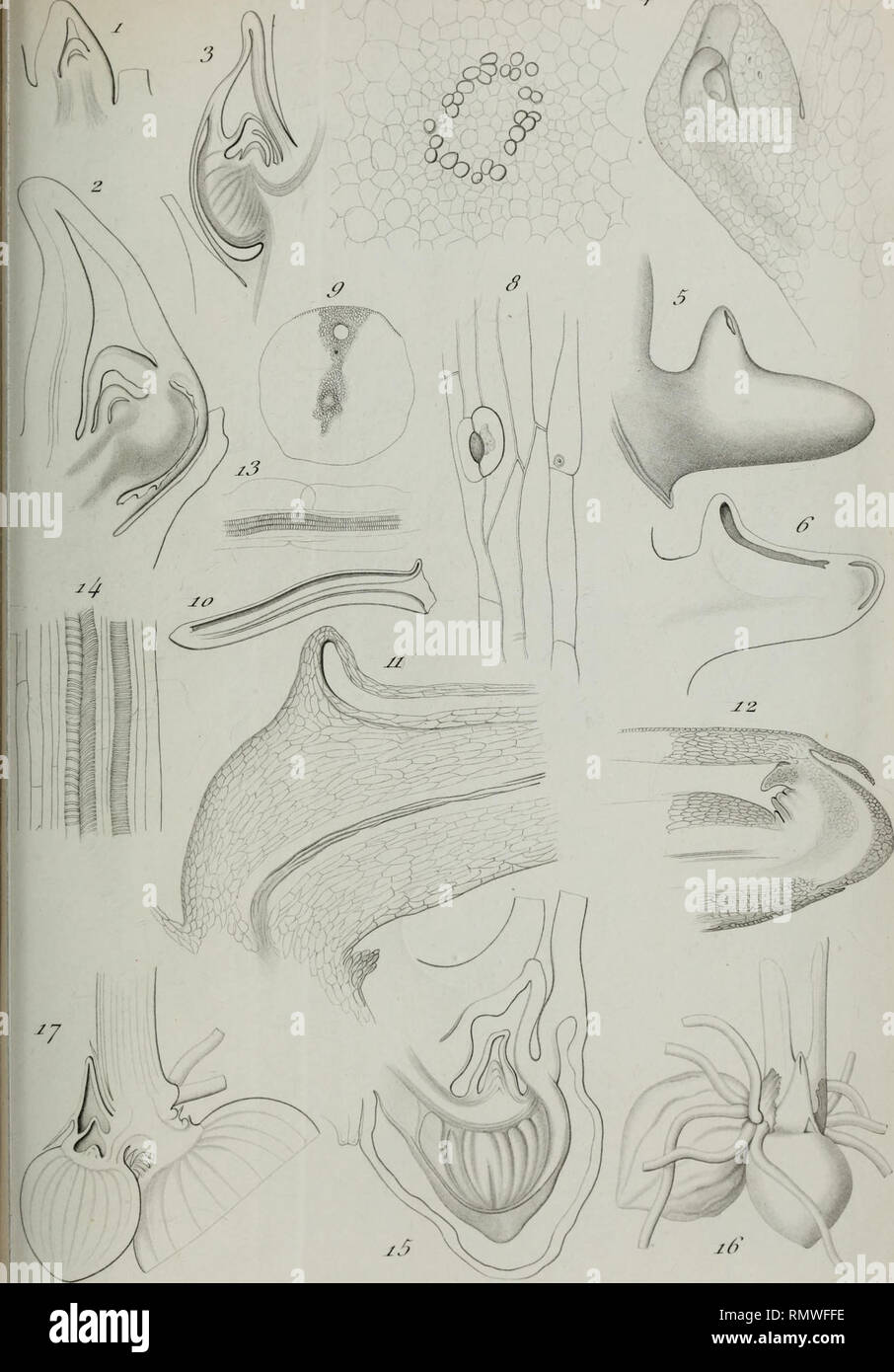 Sabn hi-res stock photography and images - Alamy