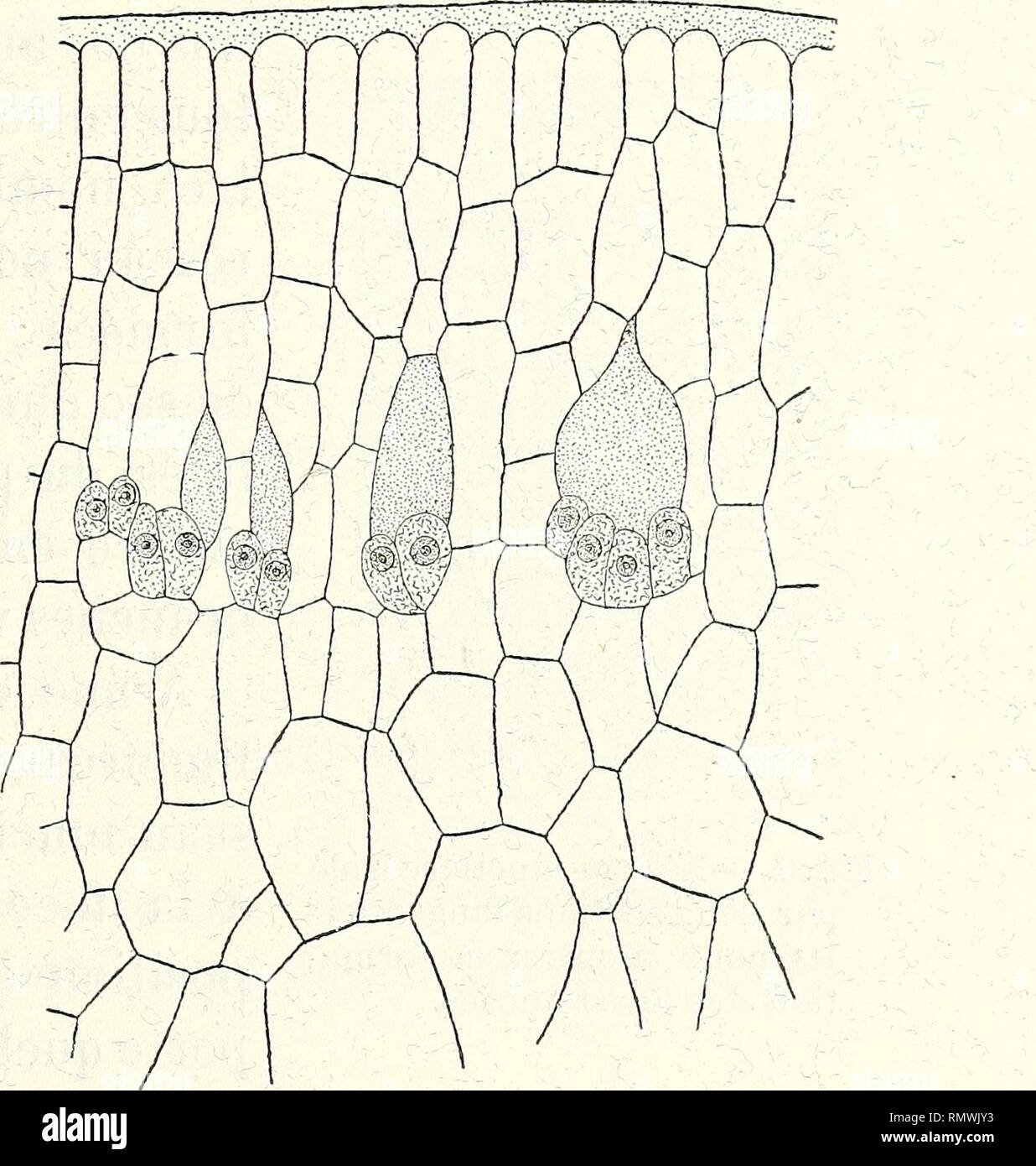 Phases de couleur hi-res stock photography and images - Alamy