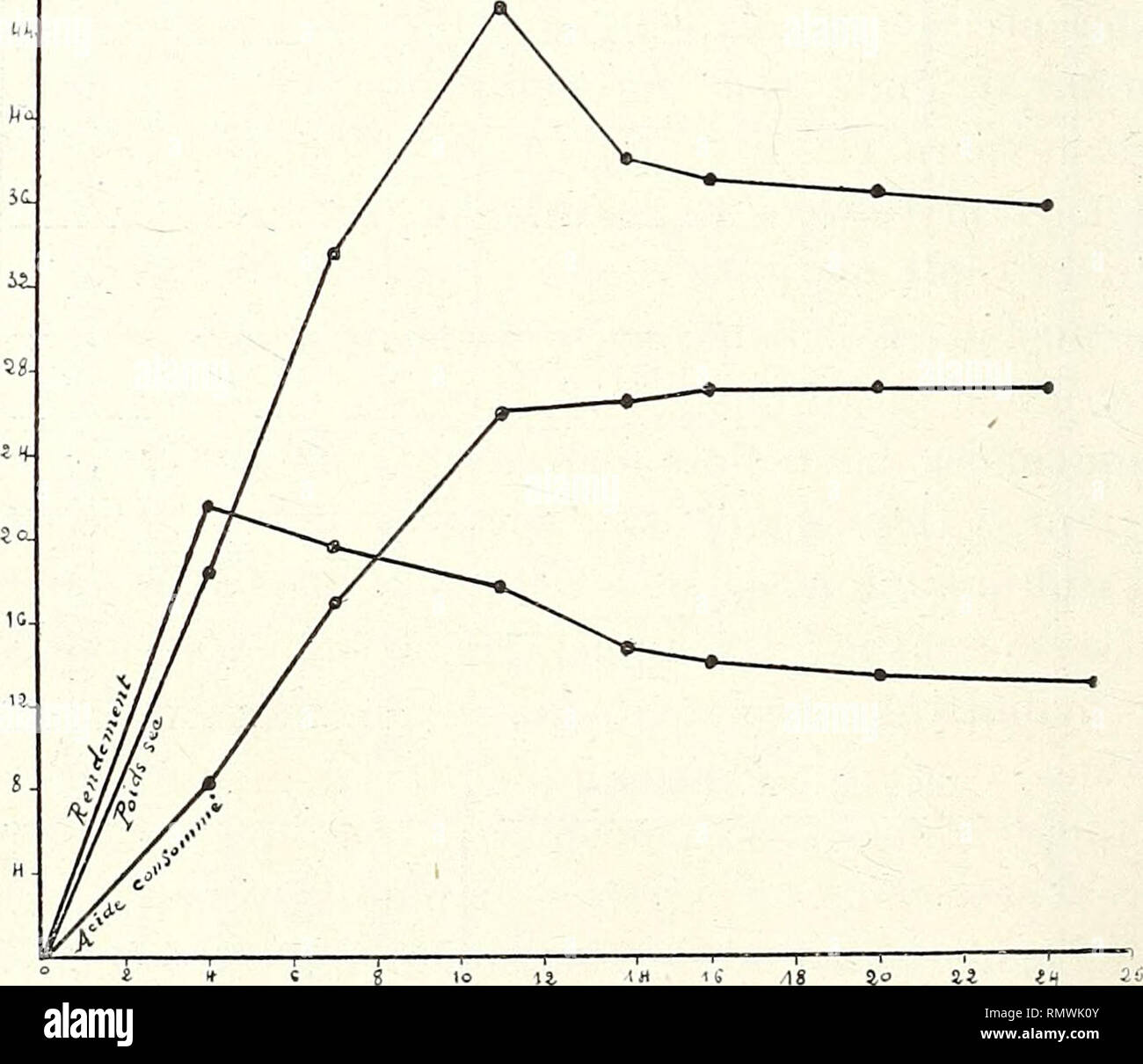 Champignon plus élevé hi-res stock photography and images - Alamy