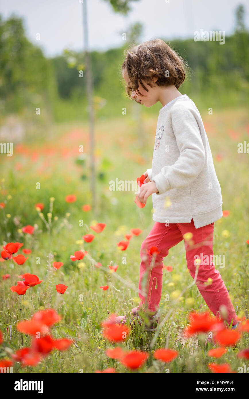 Cute little girl having fun in a poppy field Stock Photo - Alamy