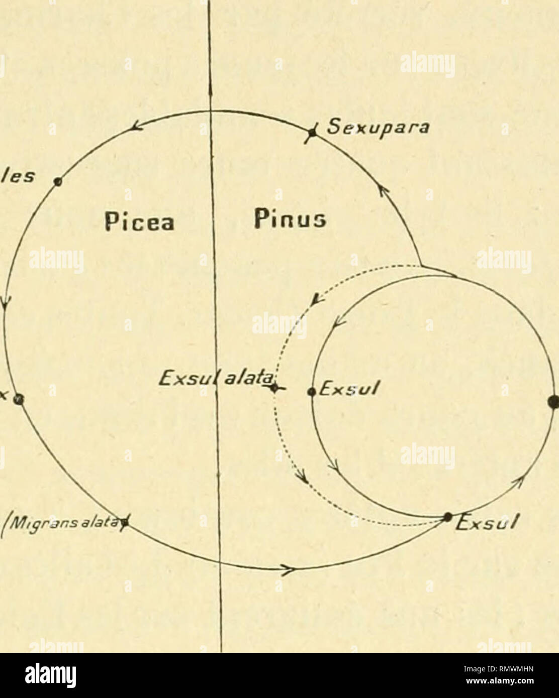 Insectes hivernants hi-res stock photography and images - Alamy