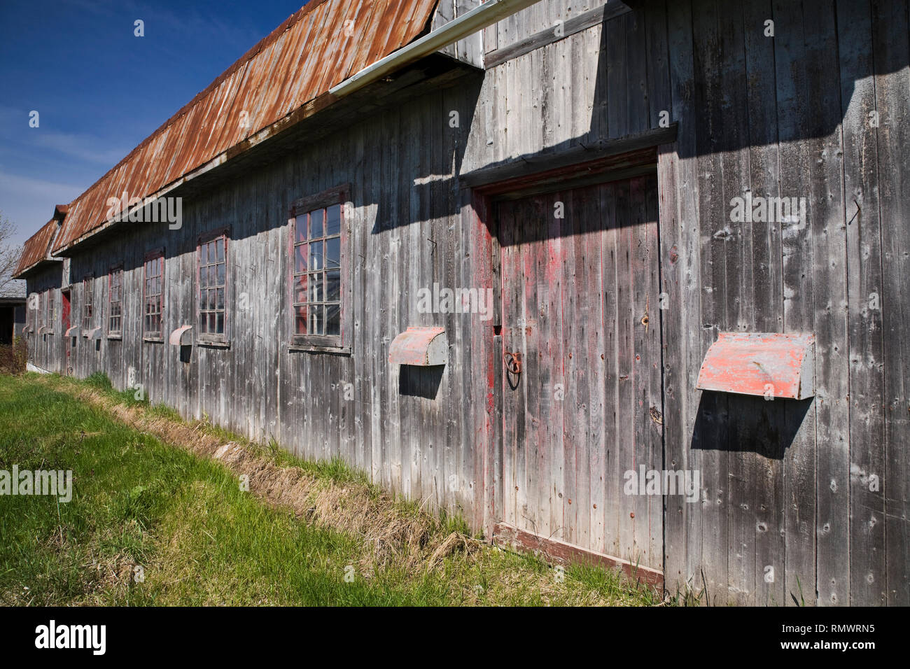 Old wooden barn once used for milking dairy cows Stock Photo - Alamy