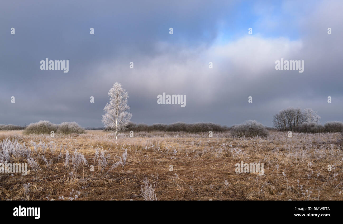 Frosty scene hi-res stock photography and images - Alamy
