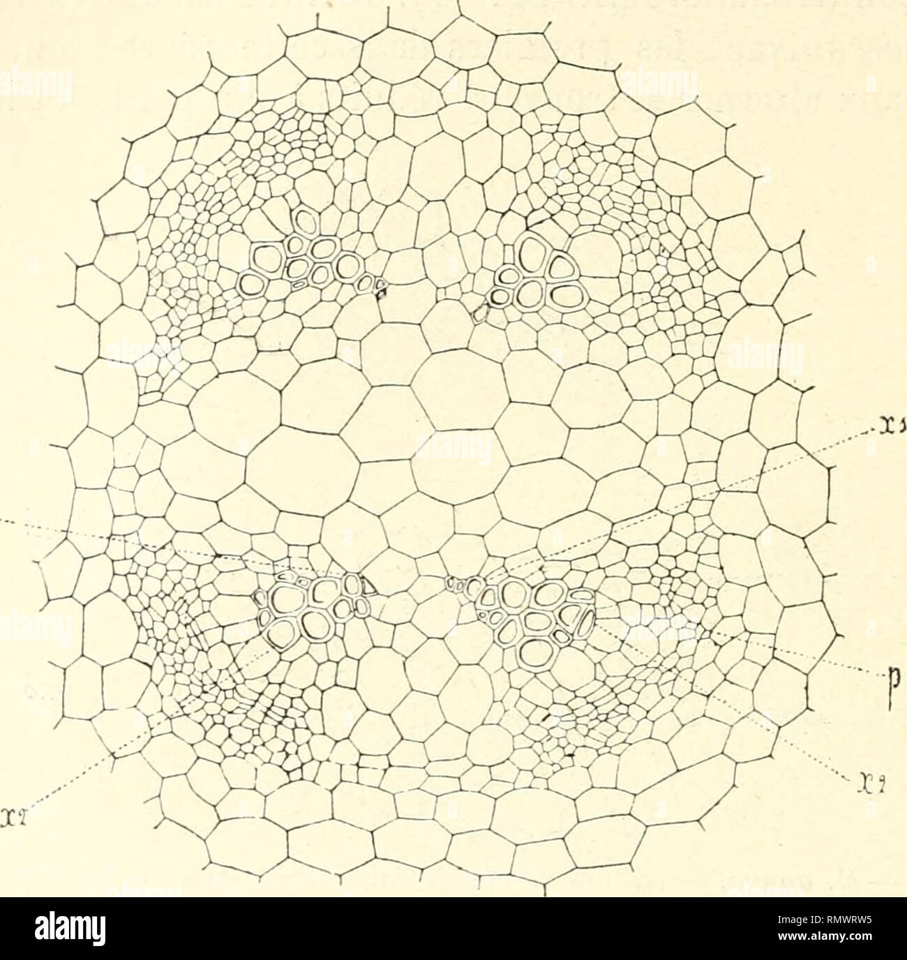 Produits en voie de disparition hi-res stock photography and images - Alamy