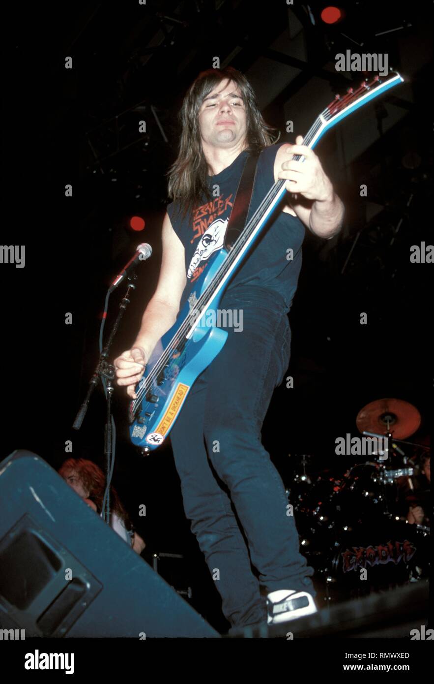 Exodus bassist is shown performing "live" in concert Stock Photo - Alamy