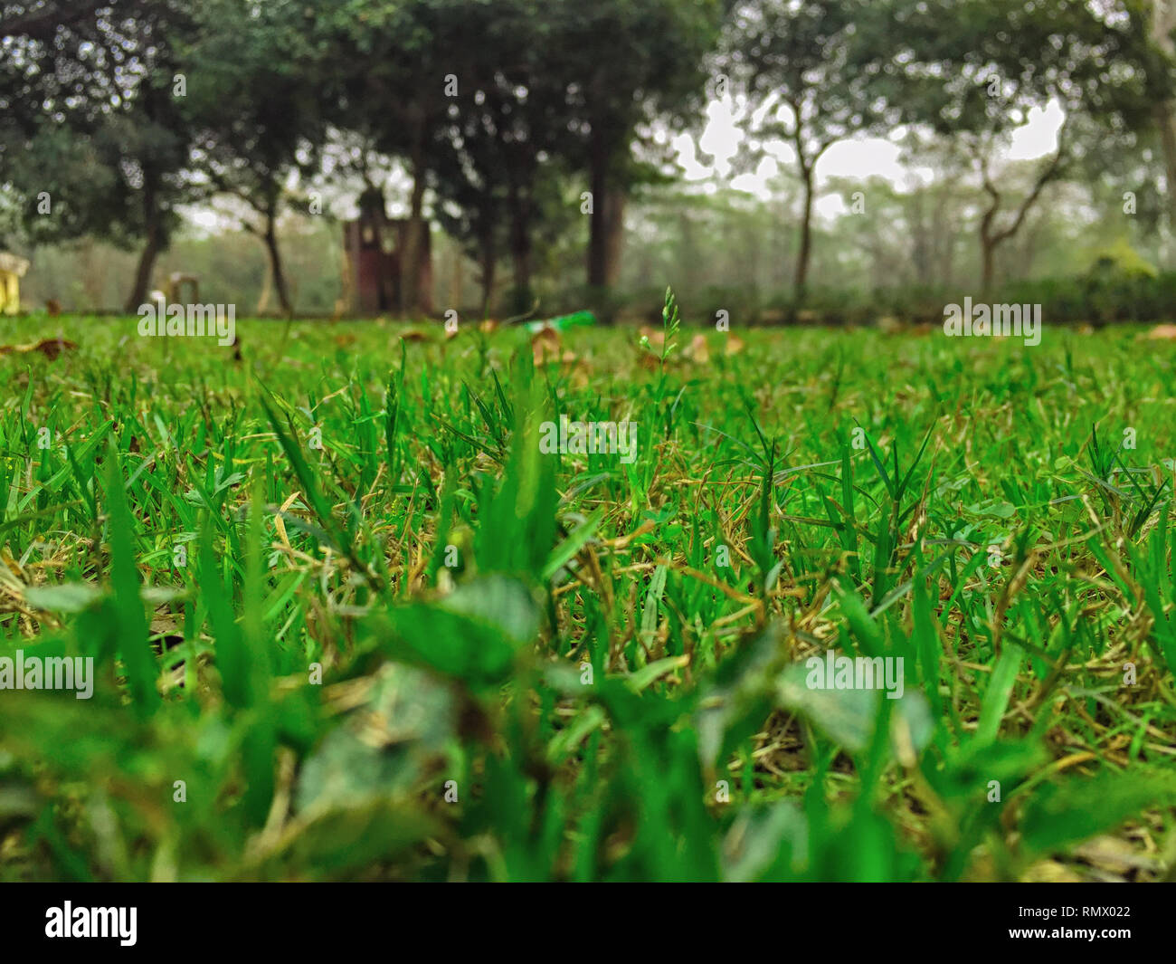 Outdoor park beauty hi-res stock photography and images - Alamy