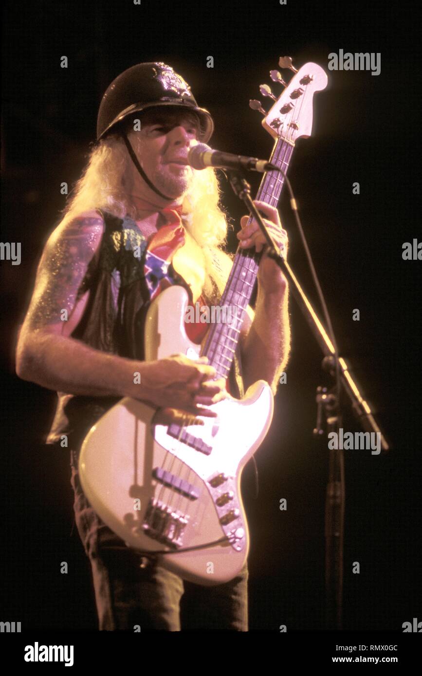 Bassist Leon Wilkeson of the Southern rock band Lynyrd Skynyrd is shown ...