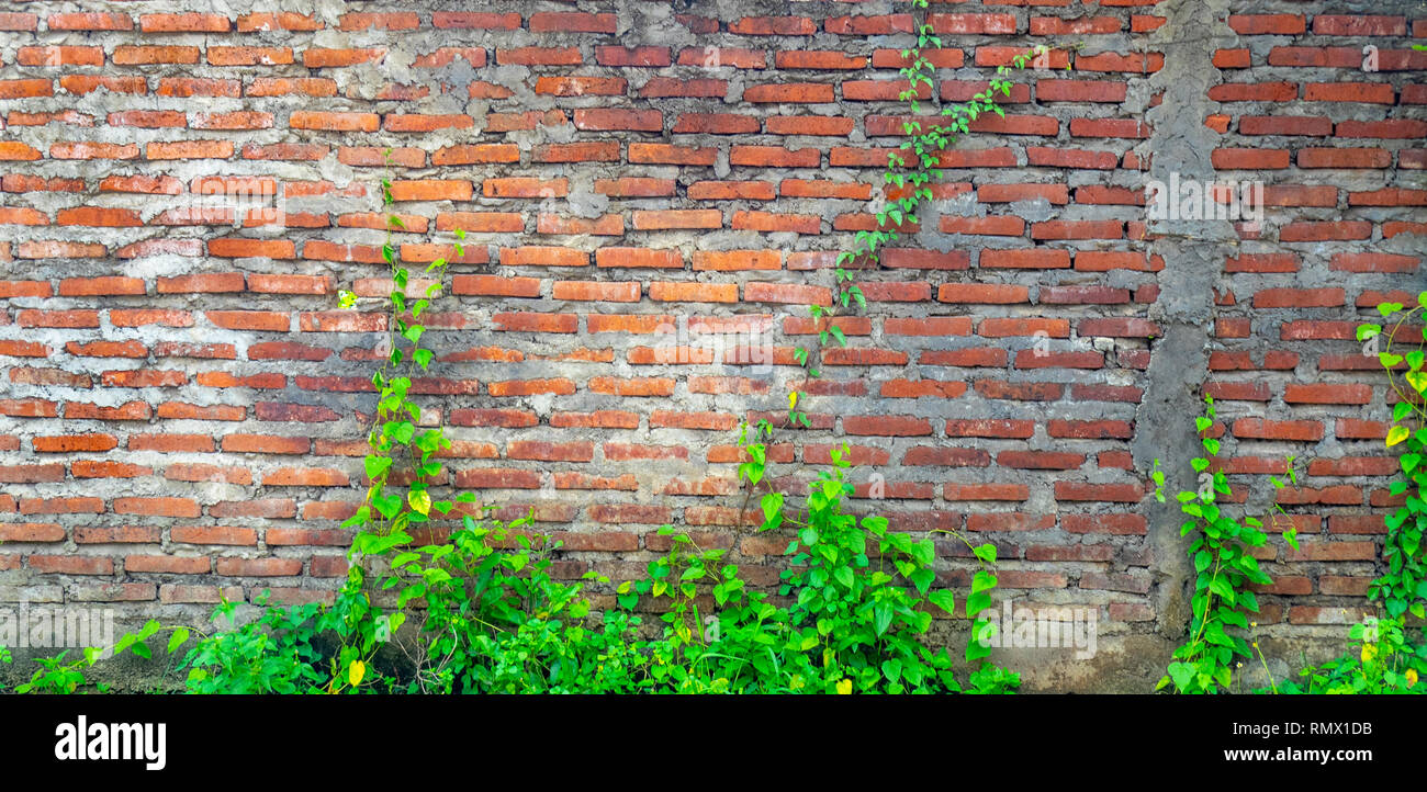 Brickwork garden hi-res stock photography and images - Alamy