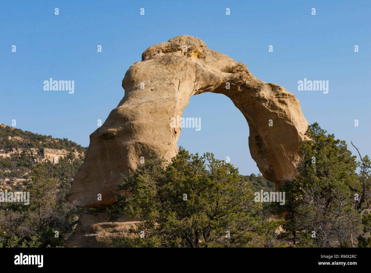 Arch stands hi-res stock photography and images - Alamy