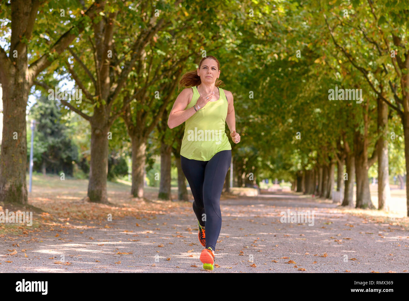 Fit middle-aged woman jogging along a tree-lined avenue through a park ...