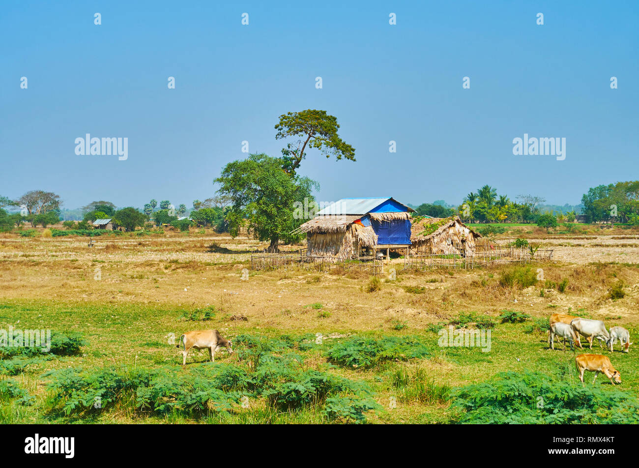 Myanmar slums hi-res stock photography and images - Alamy