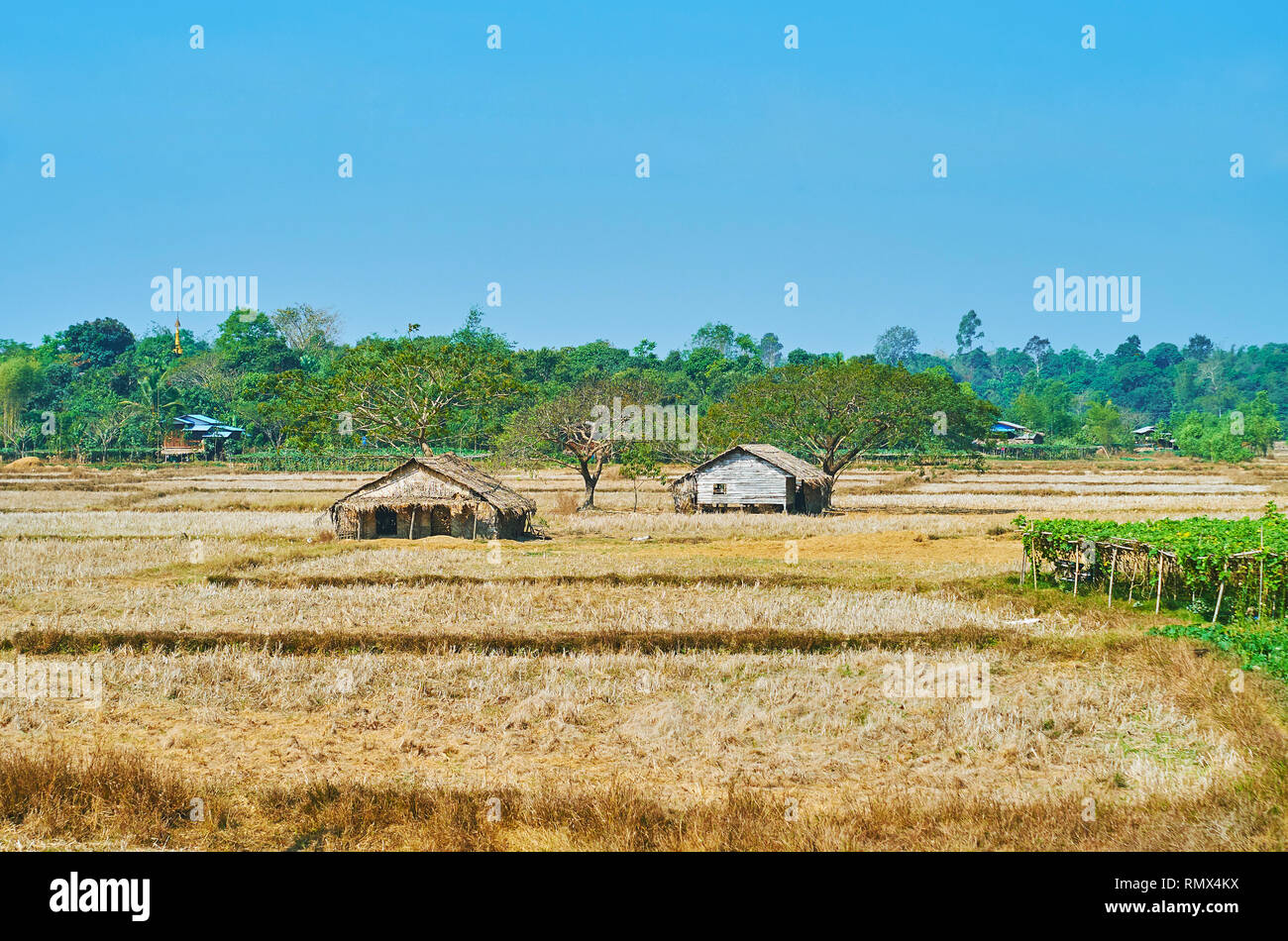 Idyllic rural landscape with dry meadows, green forest and small nipa ...