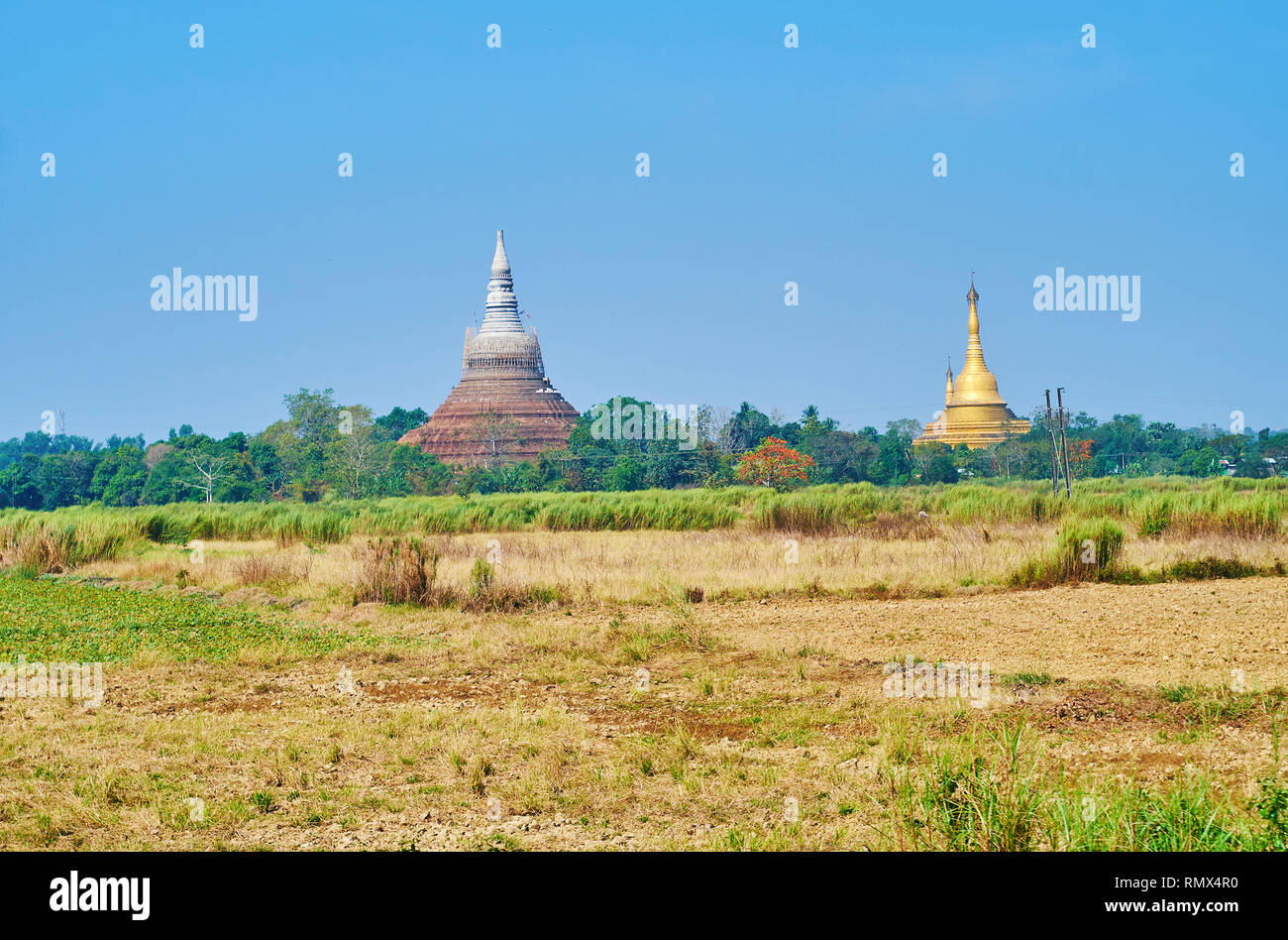 The giant pagodas of Bago (Pegu) behind the green forest and dry ...
