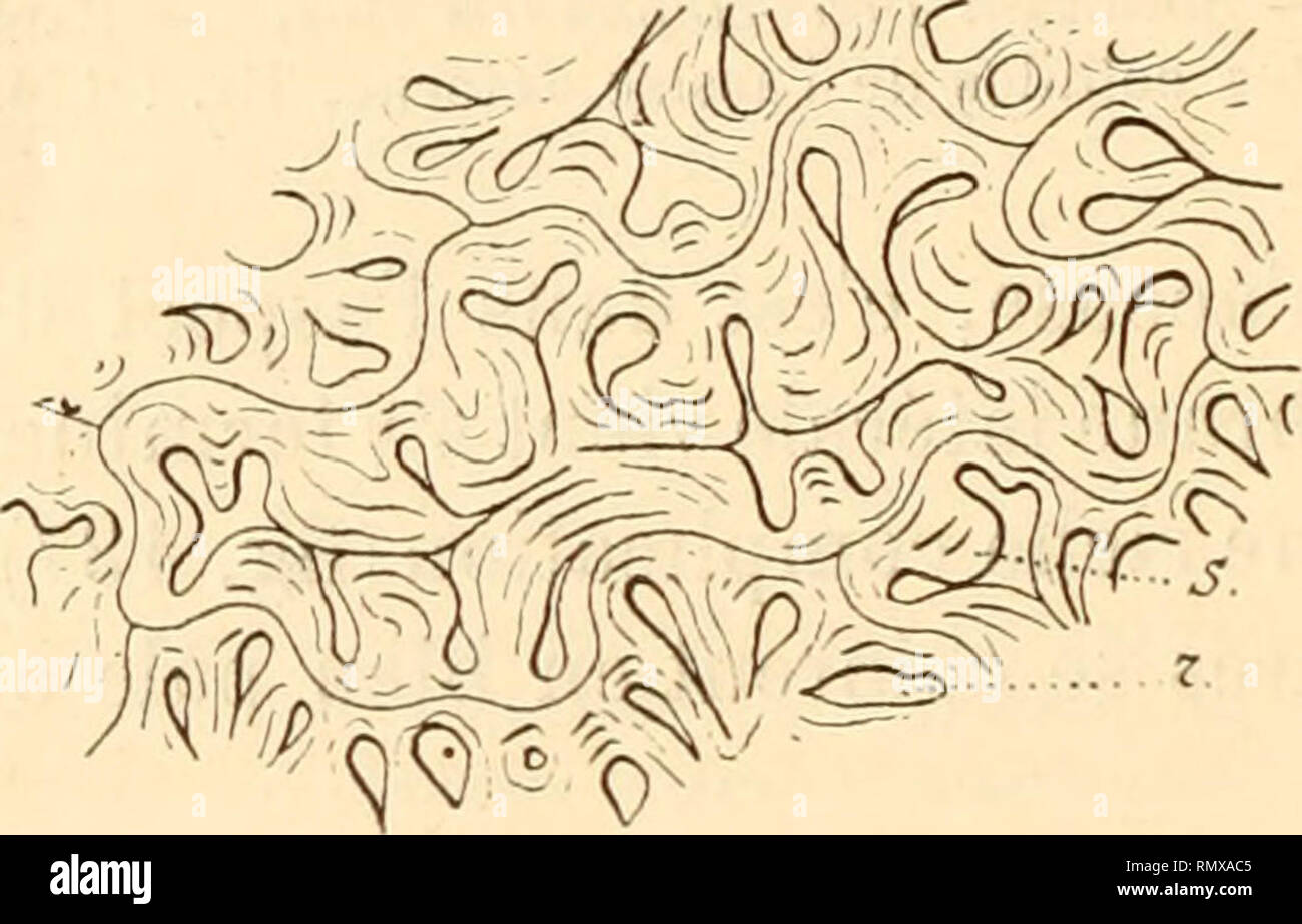 Basé sur l'emploi hi-res stock photography and images - Alamy