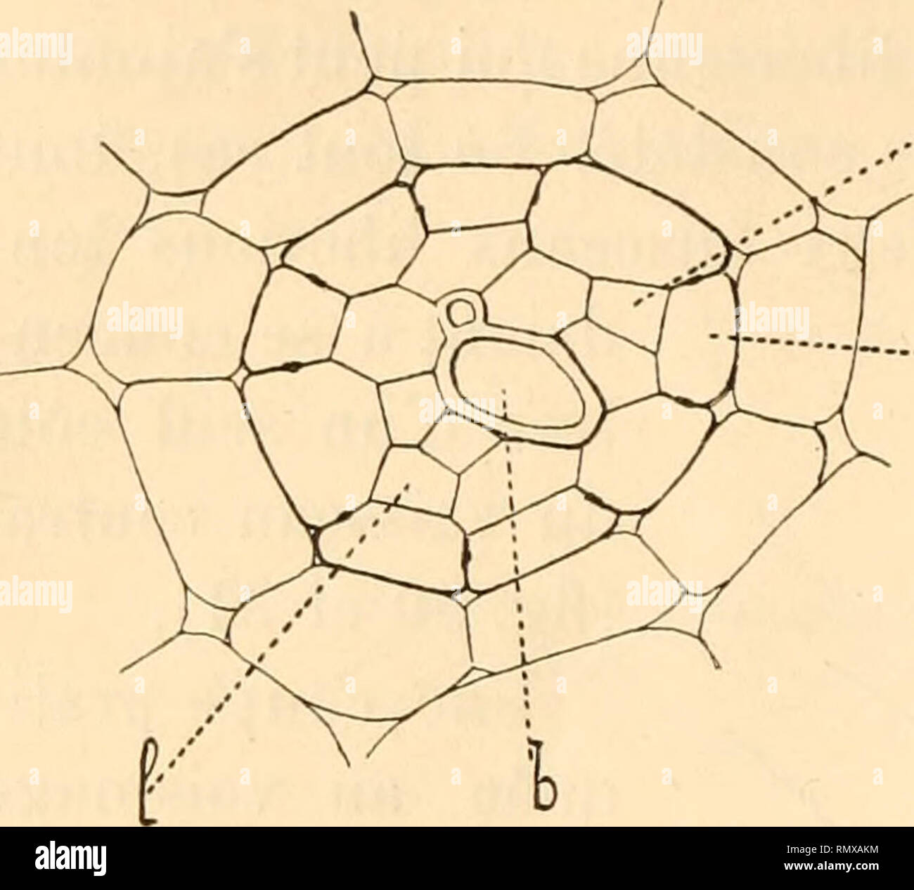 Des distances égales hi-res stock photography and images - Alamy