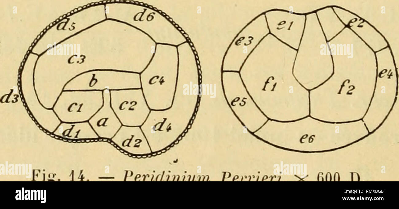 Borde transversal hi-res stock photography and images - Alamy