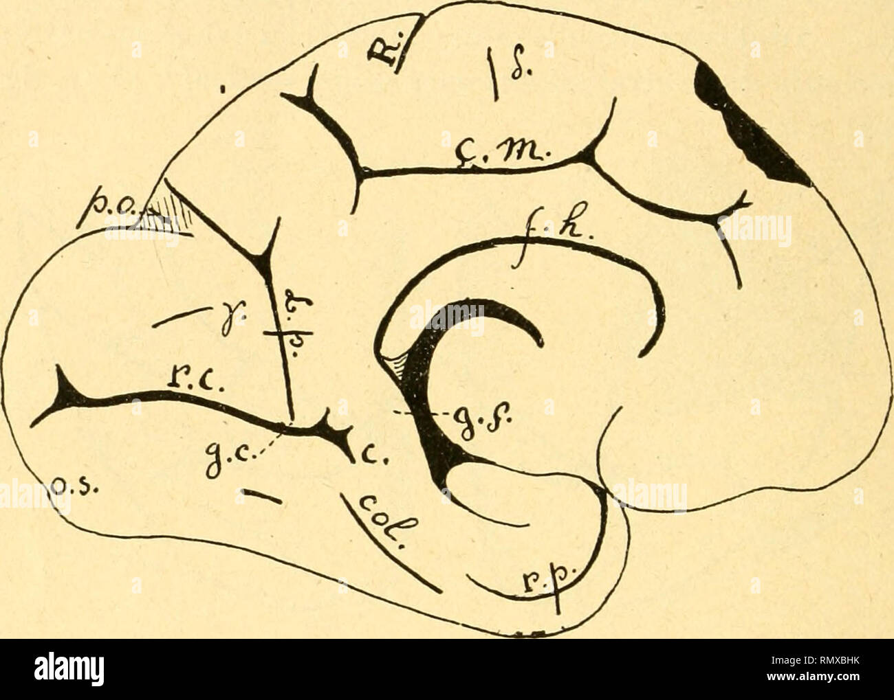 Convexite hi-res stock photography and images - Alamy