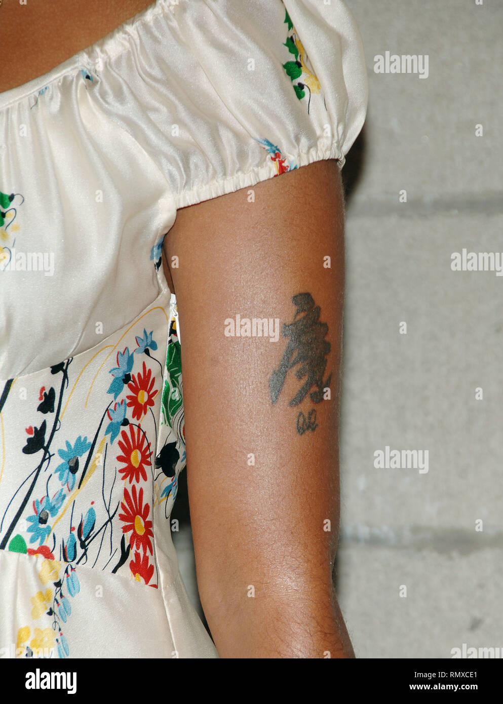 Eve arriving at the CBS - Paramount - UPN - Showtime Party at the Wind ...