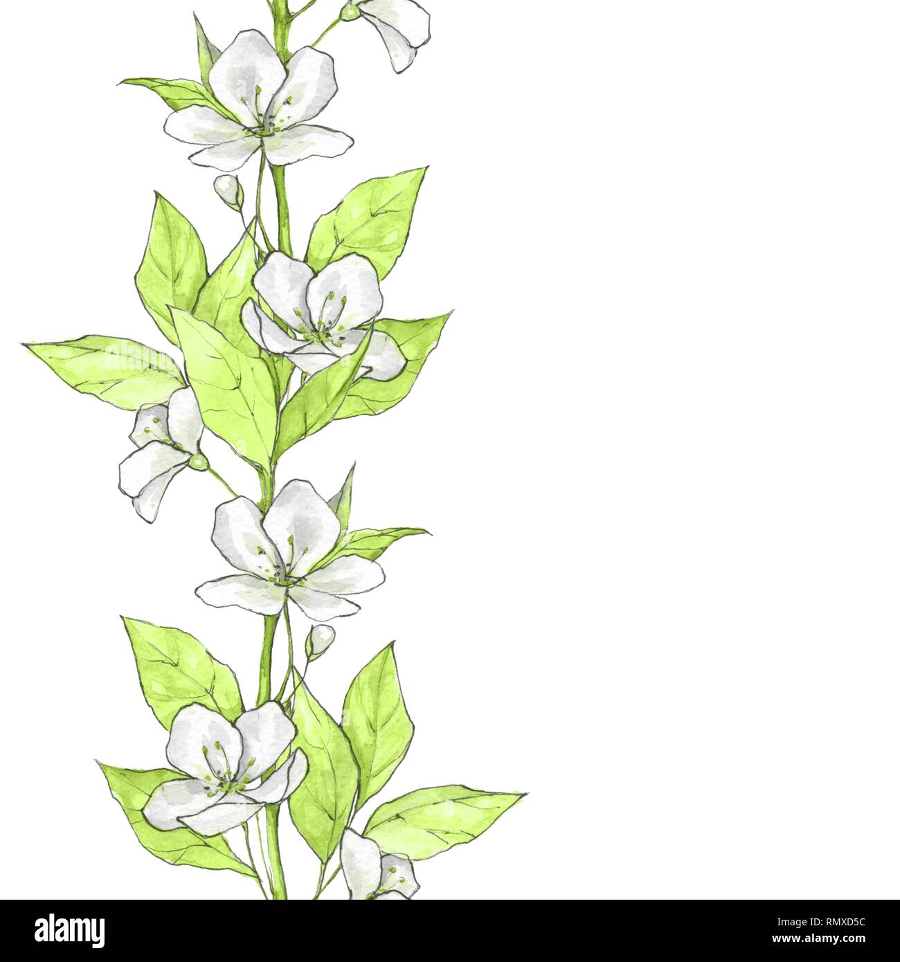 Floral seamless pattern. Border with green leaves Stock Photo - Alamy