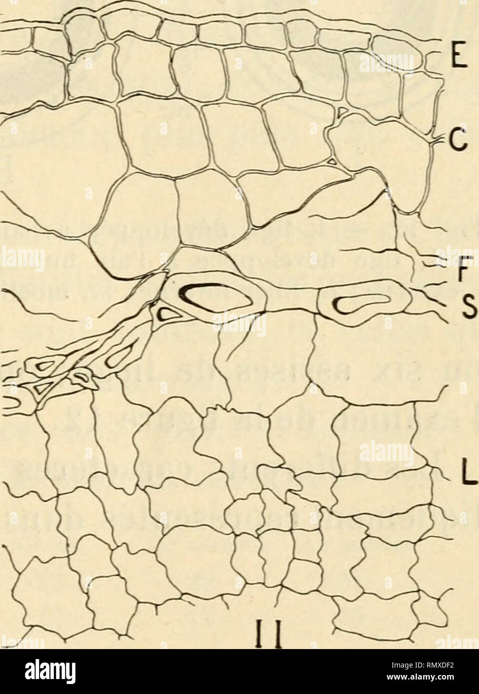 Assises liège hi-res stock photography and images - Alamy