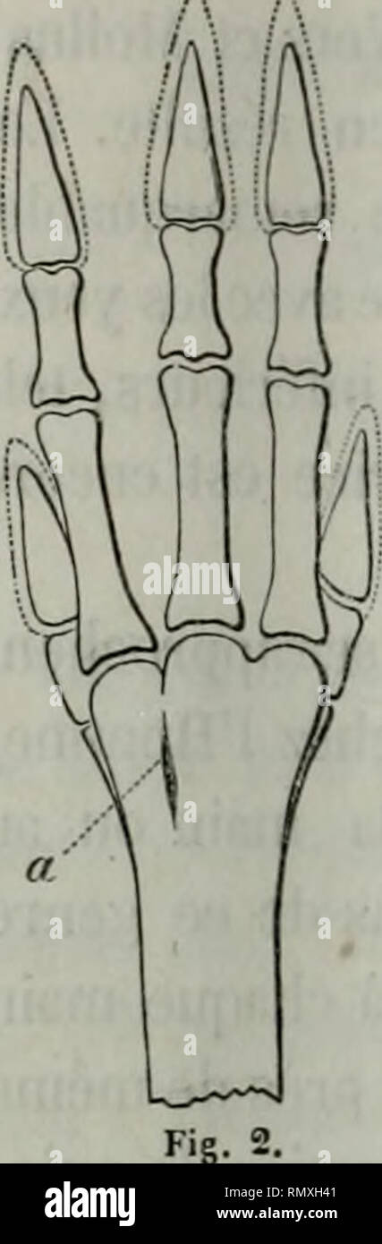 Poisson doigt hi-res stock photography and images - Alamy