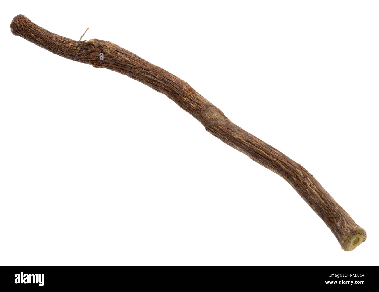 Stems root hi-res stock photography and images - Alamy