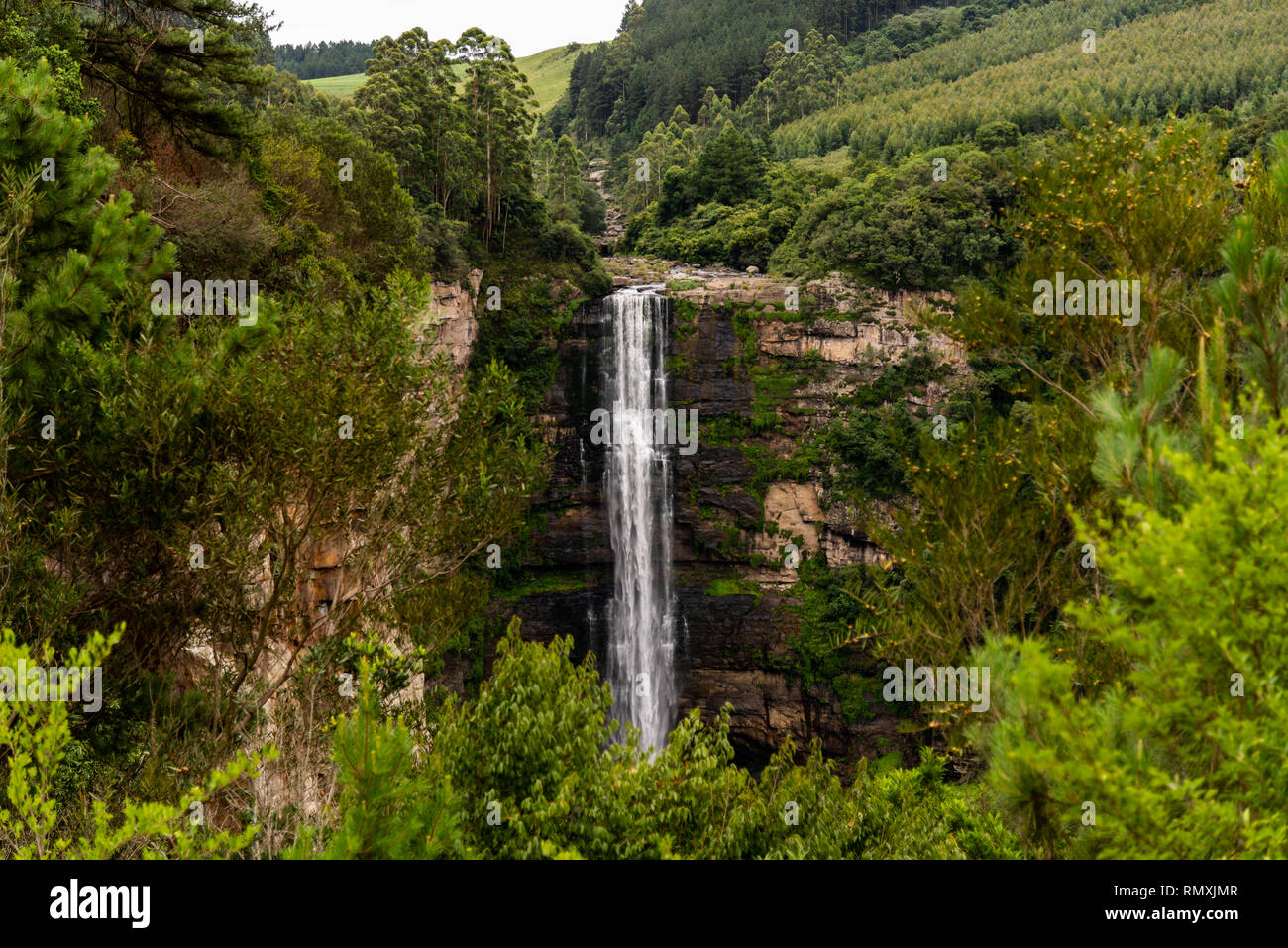 Karkloof forest hi-res stock photography and images - Alamy