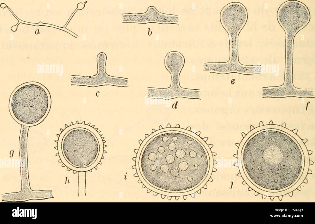 Homogénéité hi-res stock photography and images - Alamy