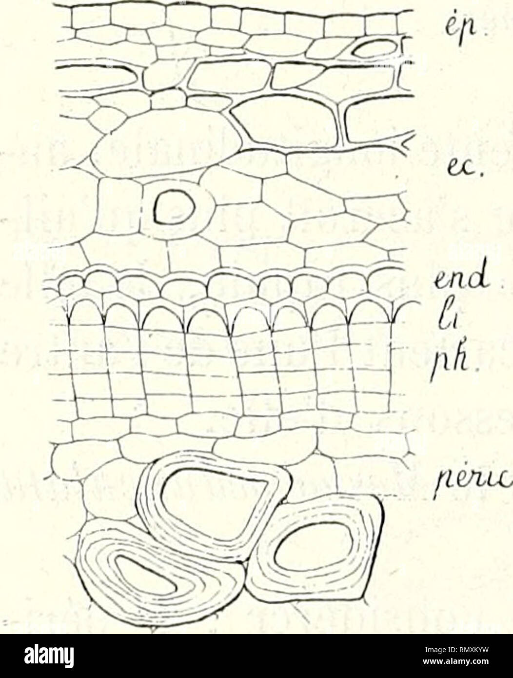 Sciences dures hi-res stock photography and images - Alamy