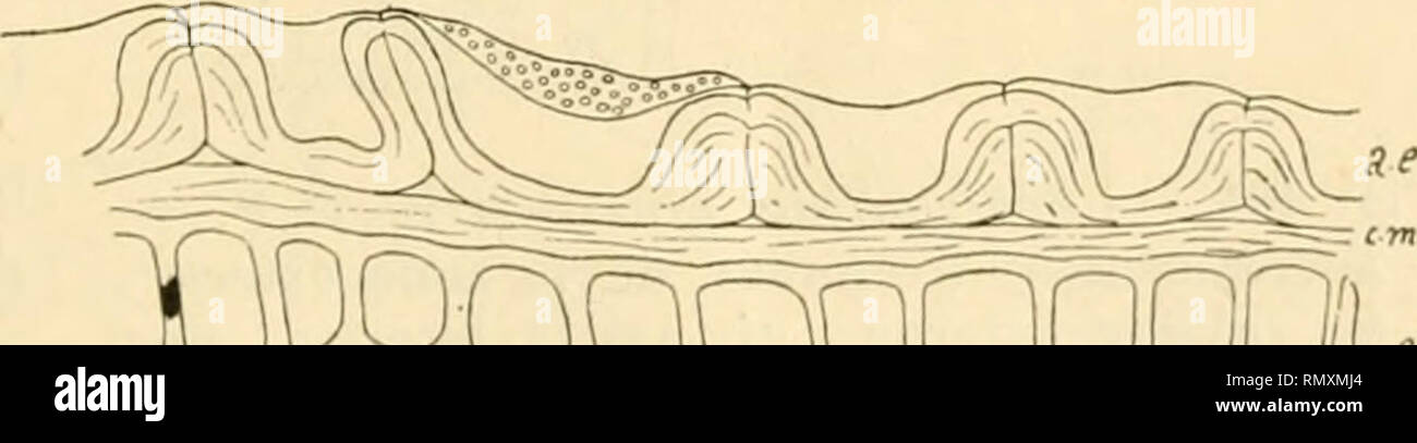 Sinueuses High Resolution Stock Photography and Images - Alamy