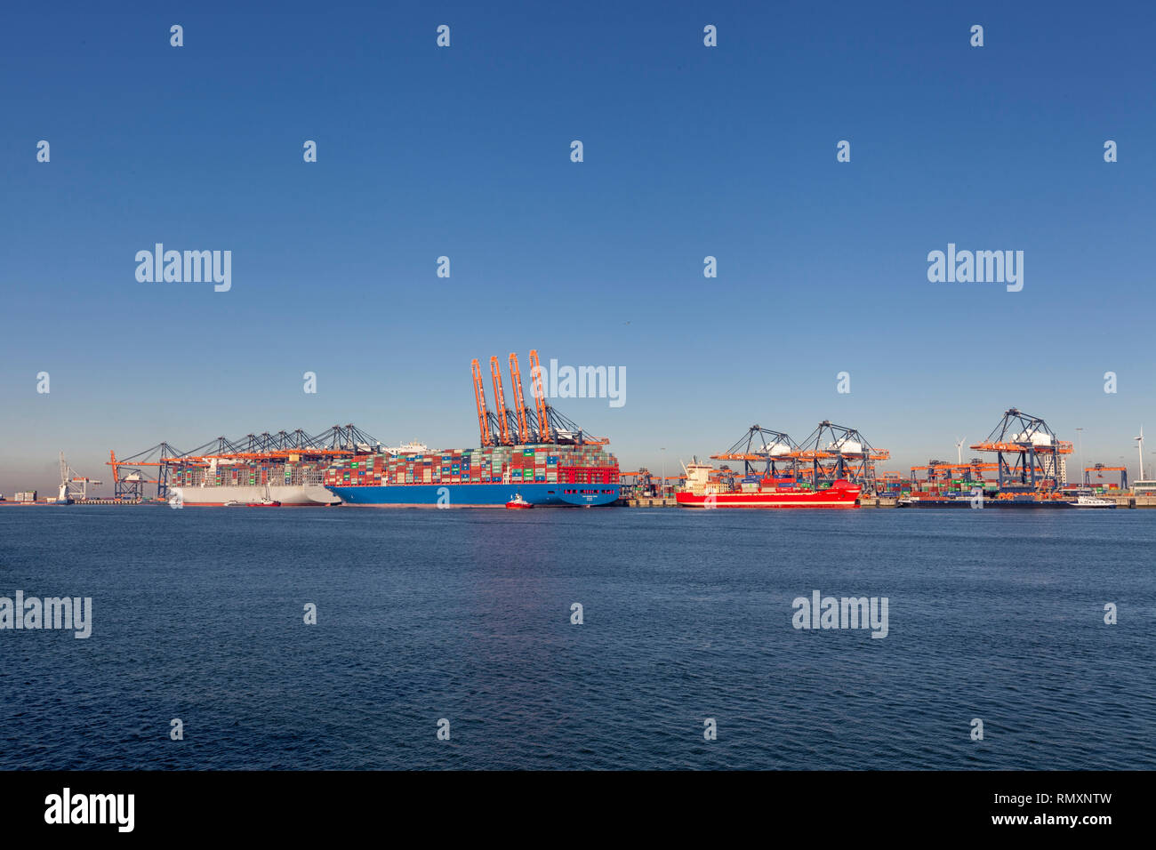 Large container vessel unloaded in Port of Rotterdam, Netherlands Stock Photo - Alamy