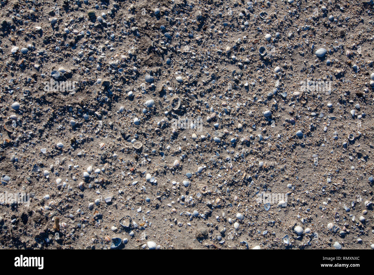 Texture with shell and pebble at wet yellow sand of beach. Vacation ...