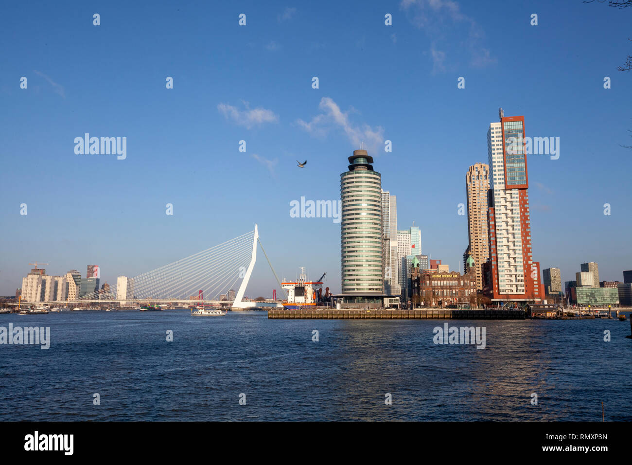 Modern Rotterdam Skyline Panorama, The Netherlands - Image Stock Photo ...
