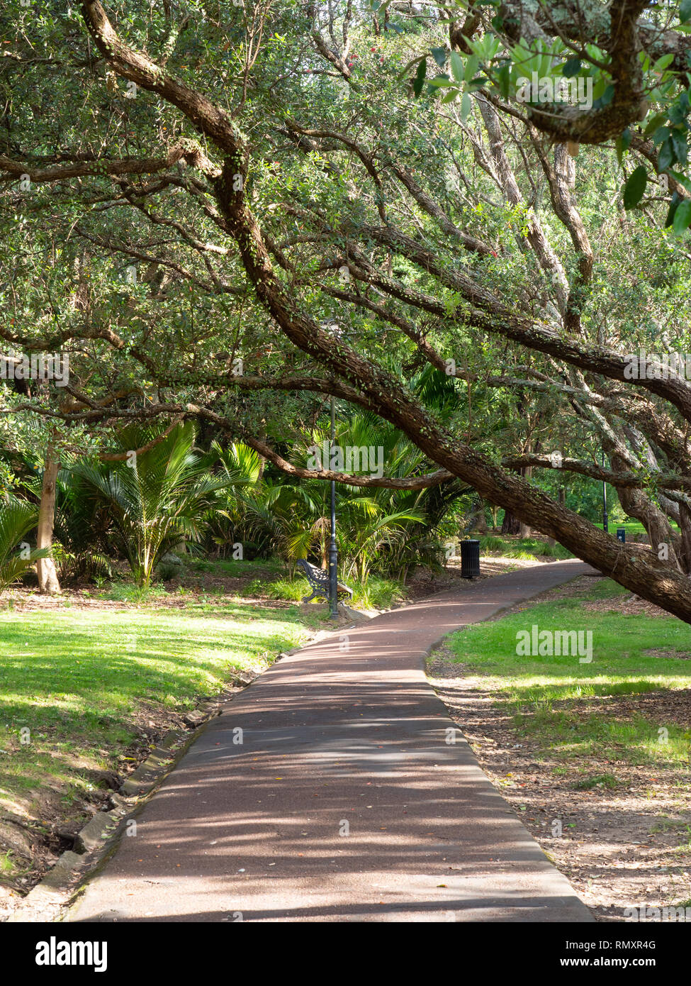 Paved trail through landscape hi-res stock photography and images - Alamy