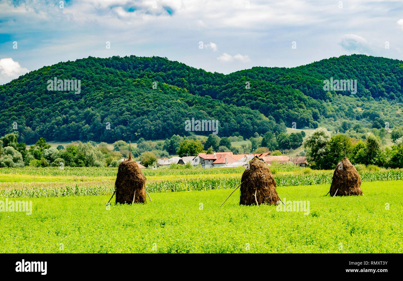 Three haystacks hi-res stock photography and images - Alamy