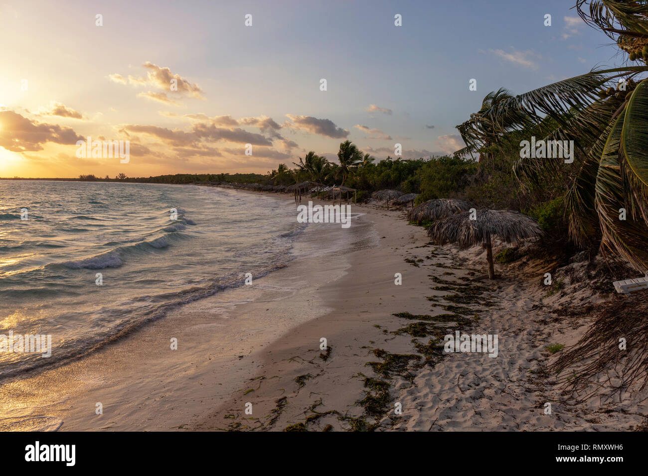 Beach on the tropical island. Clear blue water, sand and palm trees ...